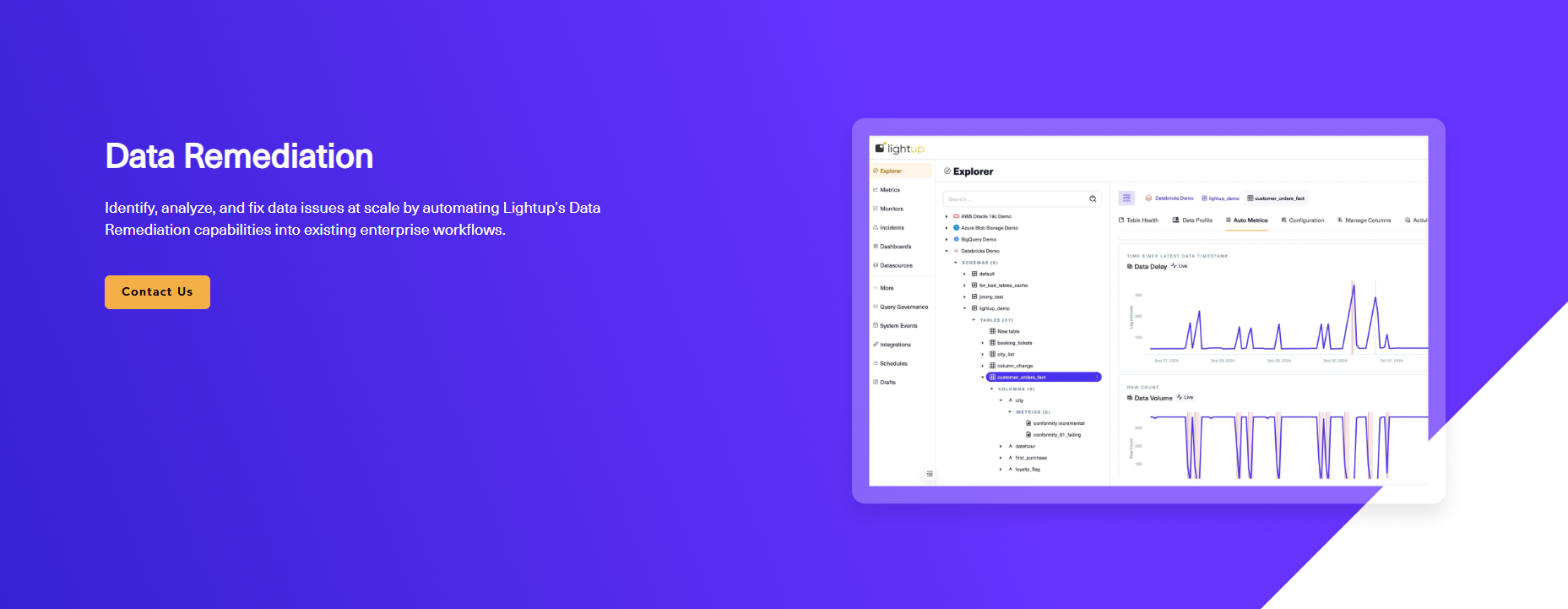 Data Remediation | Lightup Data